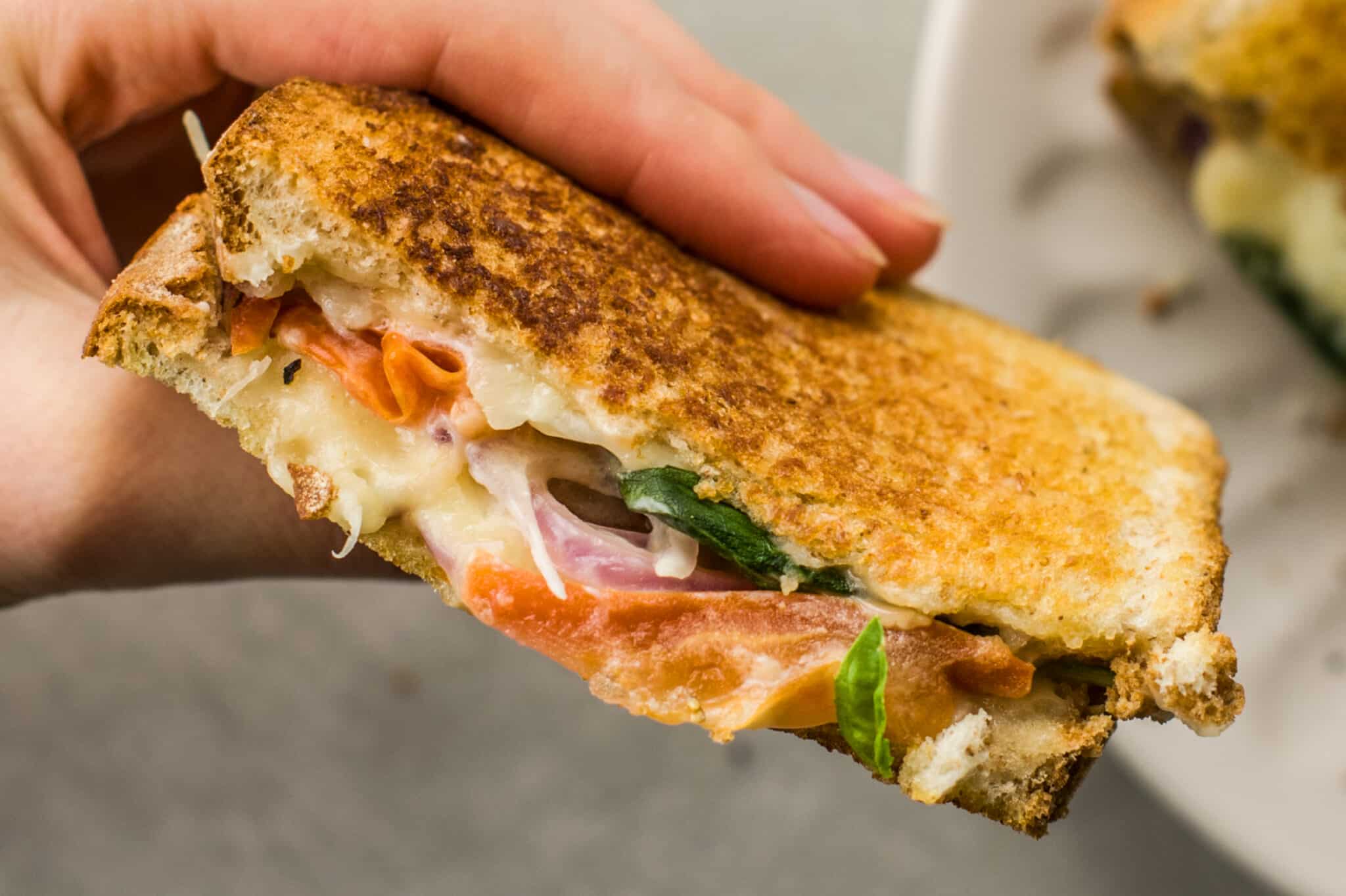 Tomato, Mozzarella, and Basil Panini